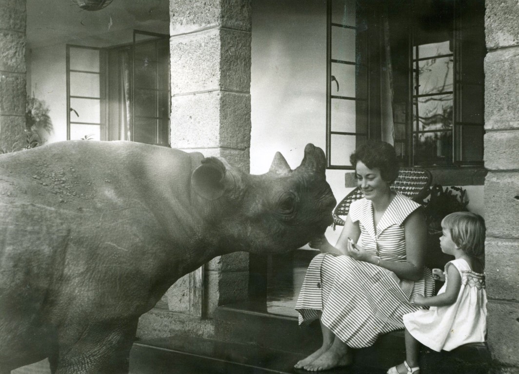 Daphne Sheldrick Habiskan Masa Hidupnya Bersama Gajah