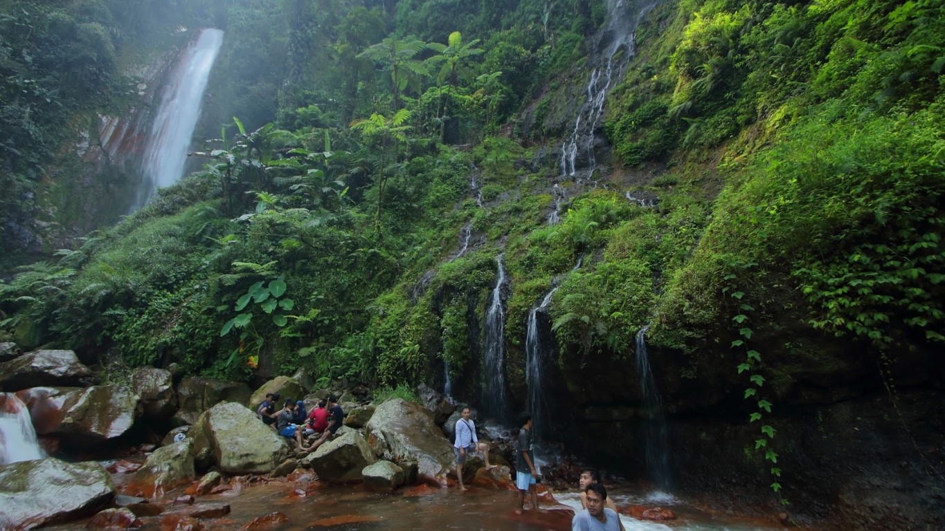 Taman Nasional Gunung Halimun Salak | Sarah Beekmans