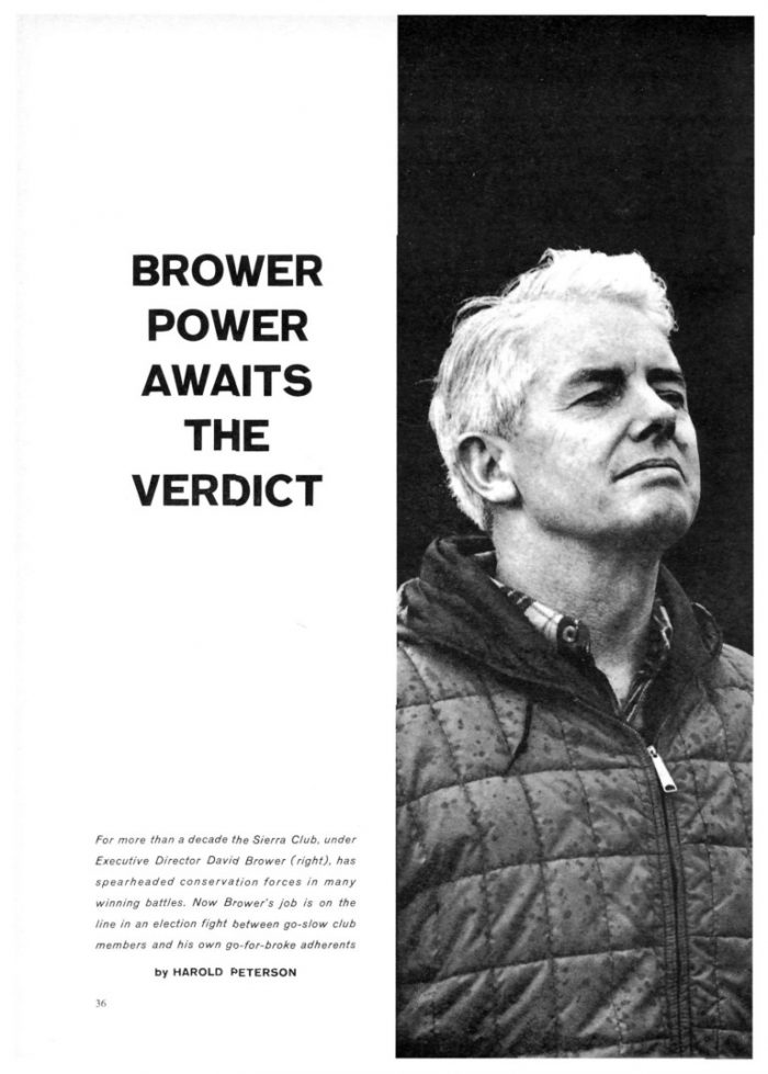 David Brower Pencinta Lingkungan dari Amerika | Sarah Beekmans